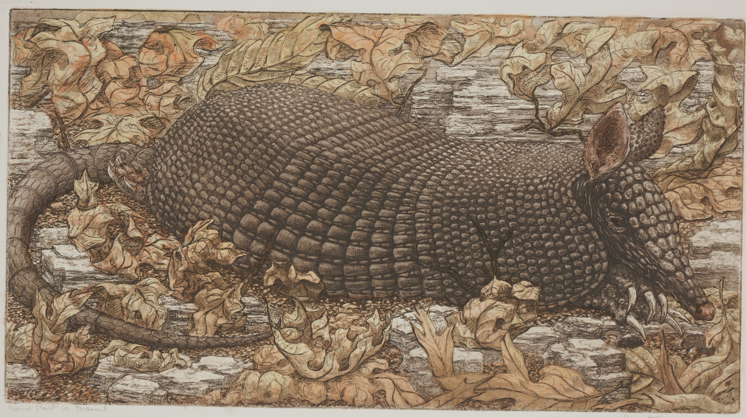 Janet E. Turner, Some Past is Present, 1957 | Dallas Museum of Art Uncrated